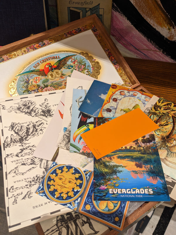 Tropical Vibe Cigar Box - Recycle Read Repeat
